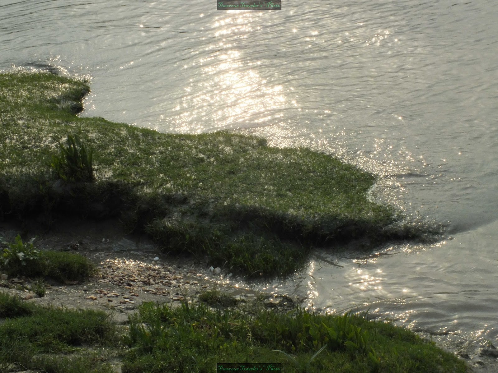 Sights & Sounds of India- and beyond: A Day by the River at Geonkhali