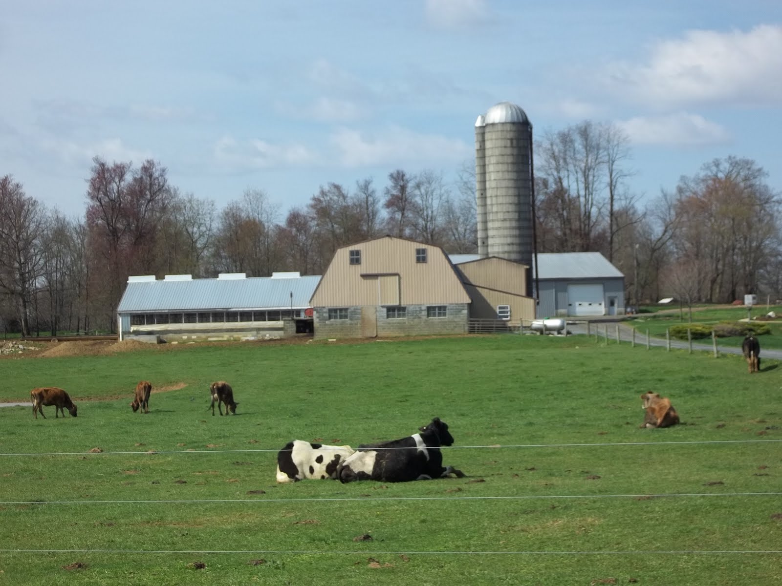 Pure Country Living: Lebanon county : Early spring in Lebanons Amish ...
