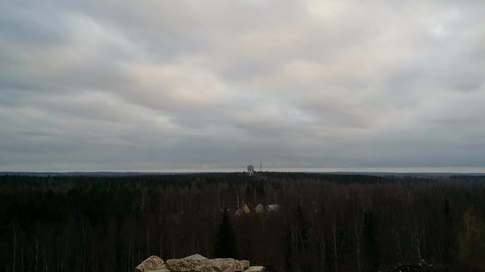 livets bok : kvinnan som gick uppför en kulle och nerför ett berg?
