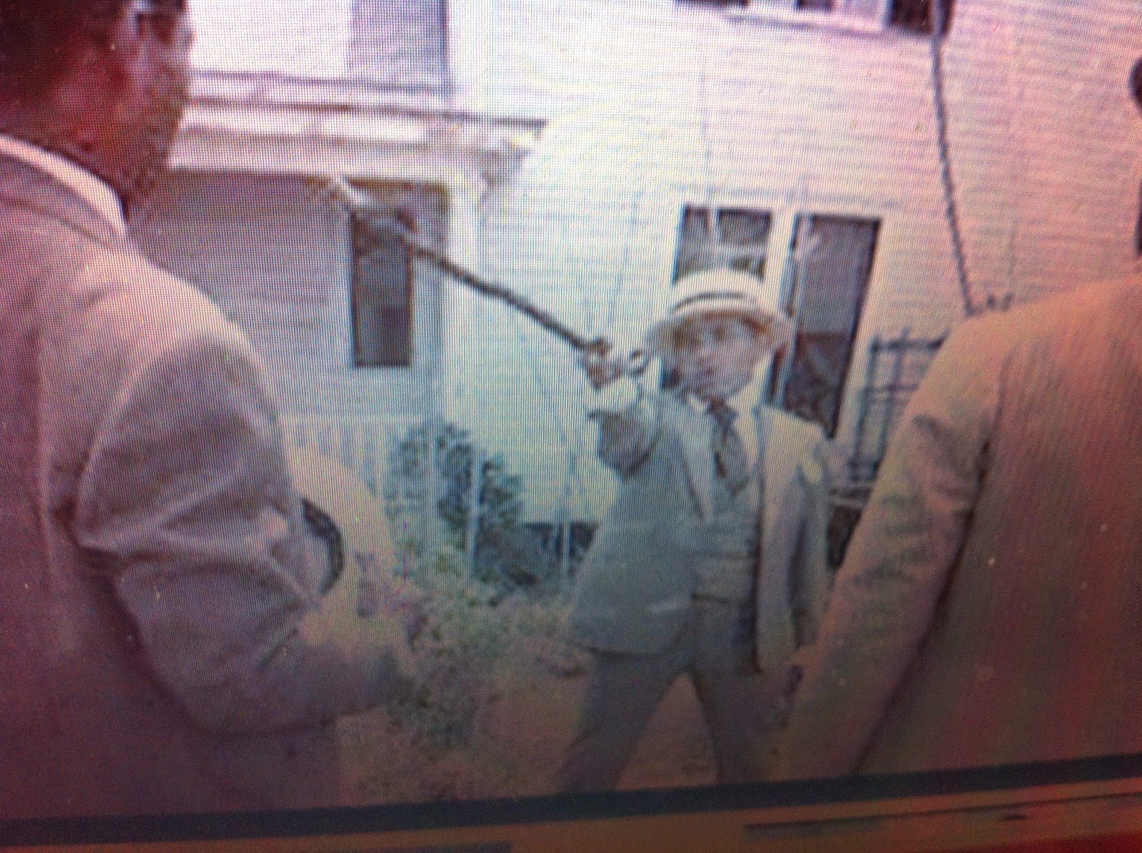 THE BLACK SOCIAL HISTORY:: BLACK SOCIAL HISTORY : " ADOLPH CAESAR " WAS ...