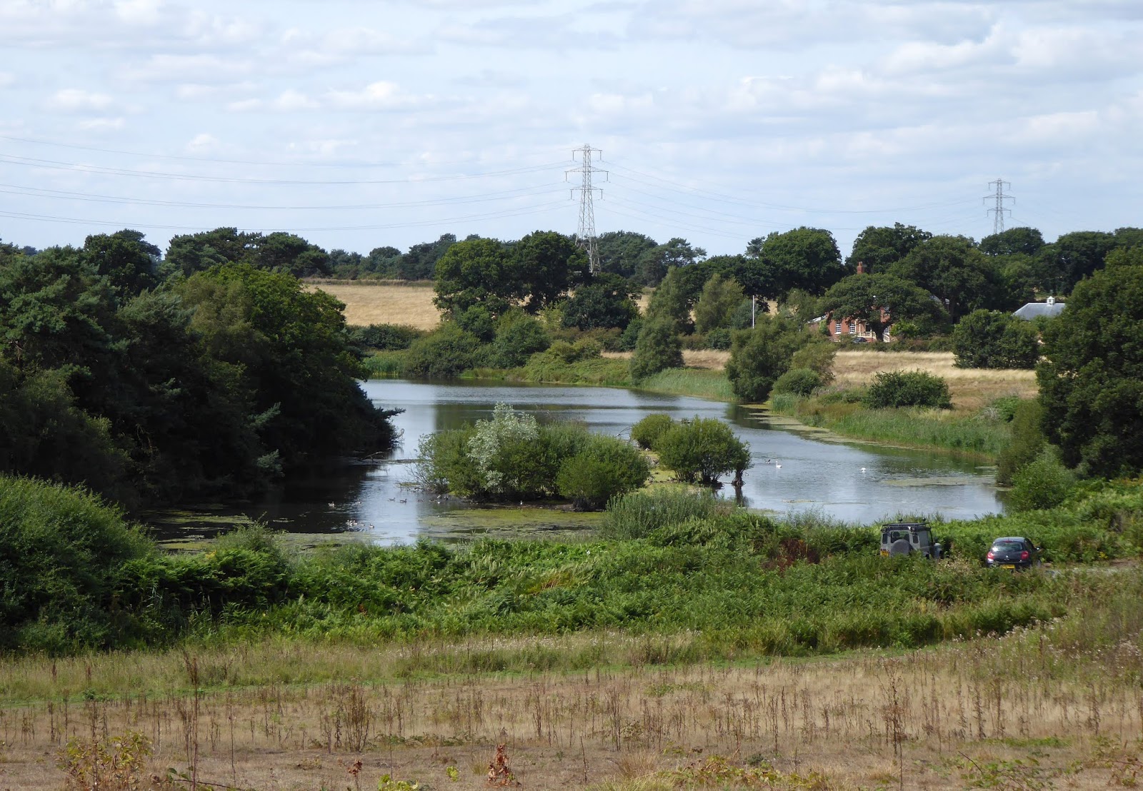 Wild and Wonderful: Lound Lakes, Southwold Beach and A Pair of Late ...
