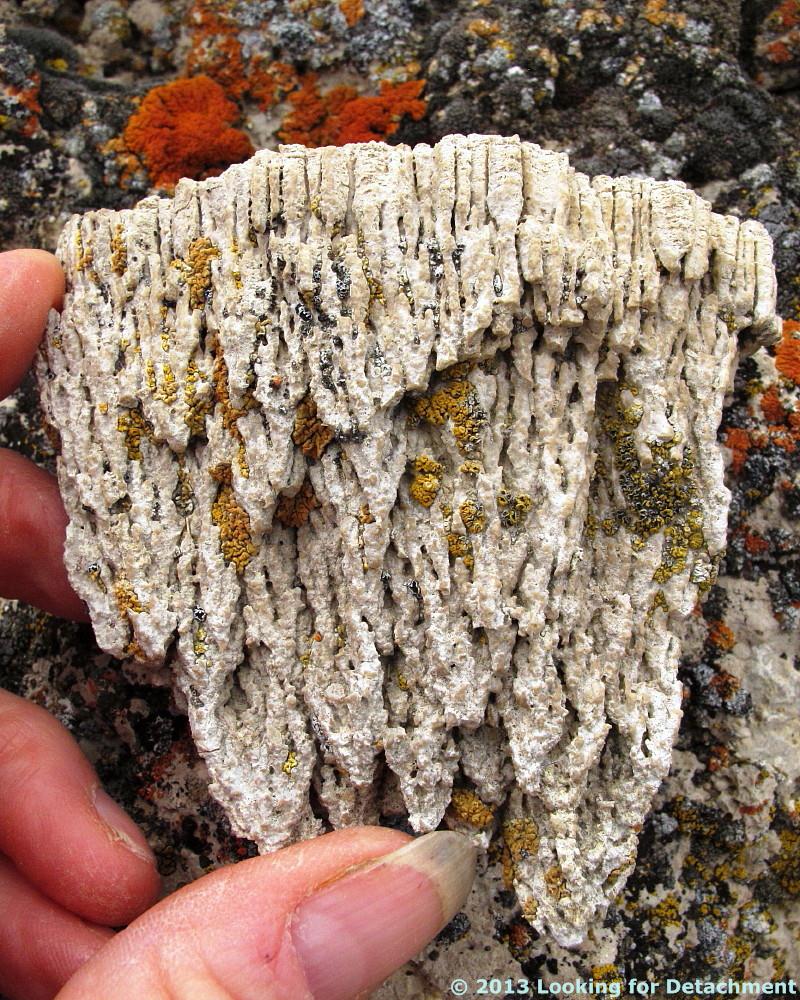 Looking For Detachment: Textures from a Tufa Dome III