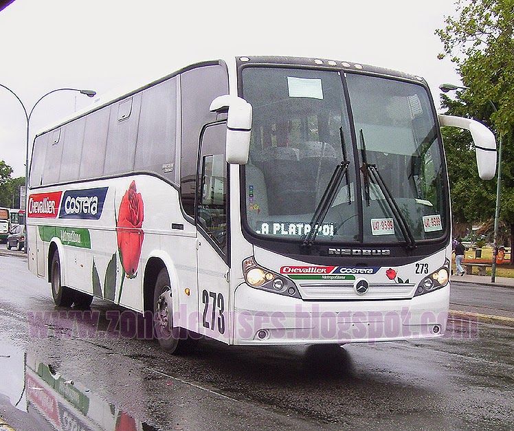 Colectibus - Zona de Buses: LINEA 195