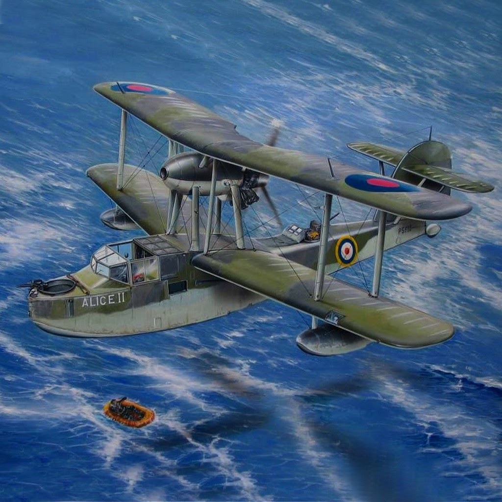 (TESTE Aviões militares): Supermarine Walrus