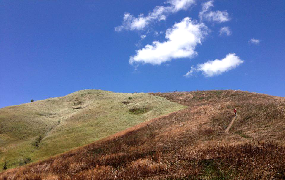 DIY: Mt. Tagapo 438+ MASL - Talim Island, Binangonan, Rizal