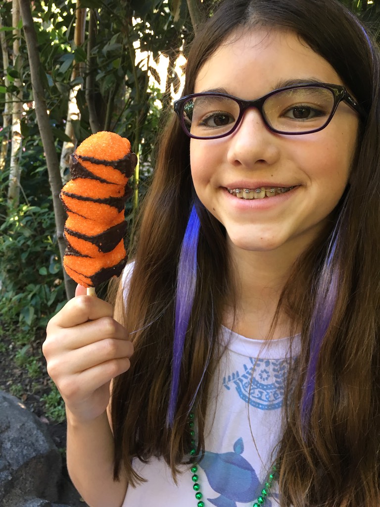 Britts Happy Place - Blog All About Disneyland