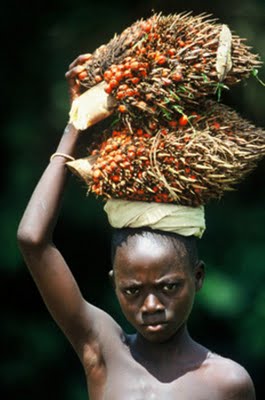 Luís Graça & Camaradas da Guiné: 15/07/12 - 22/07/12