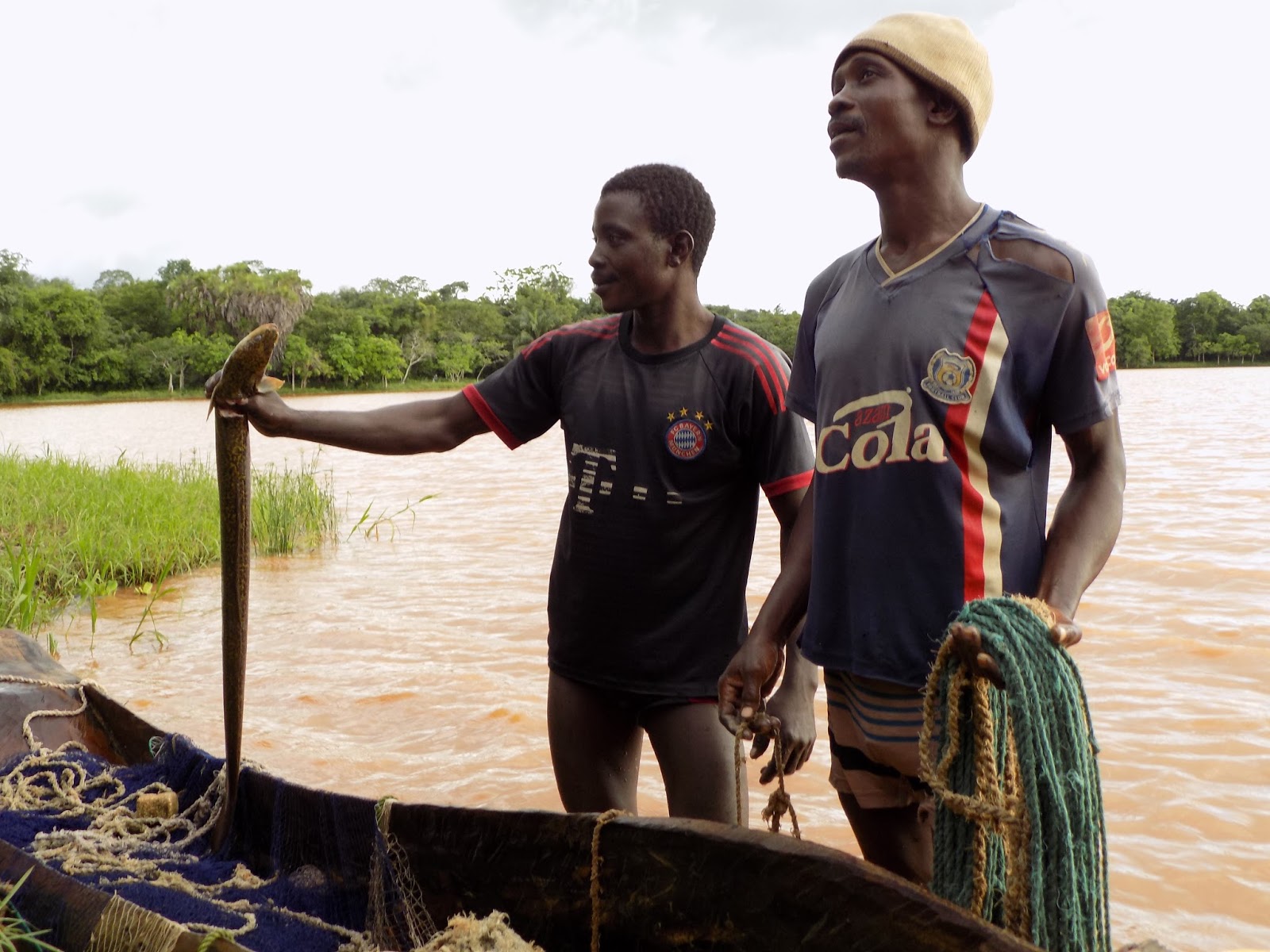 TANGA KUMEKUCHA: SAMAKI MKUNGA