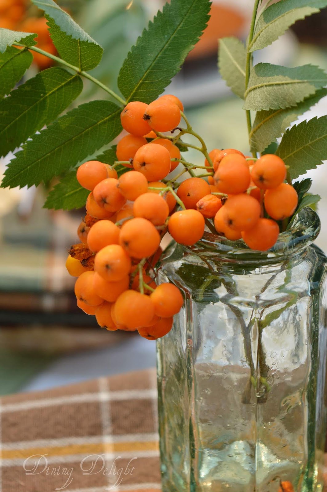 Dining Delight: Berries & Birch - Summer to Fall Tablescape