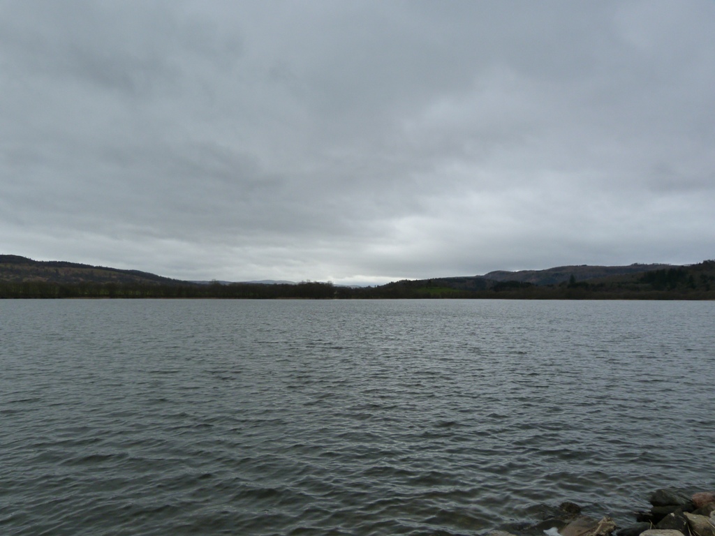 Memoirs of a Bed & Breakfast Owner: Butterstone Loch Fishery