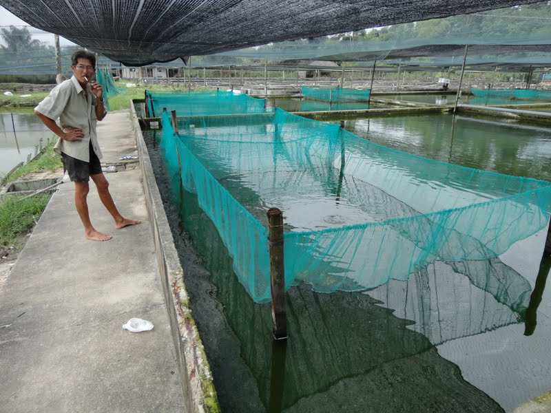 Eric's Big Events and Adventures: Molly Farm