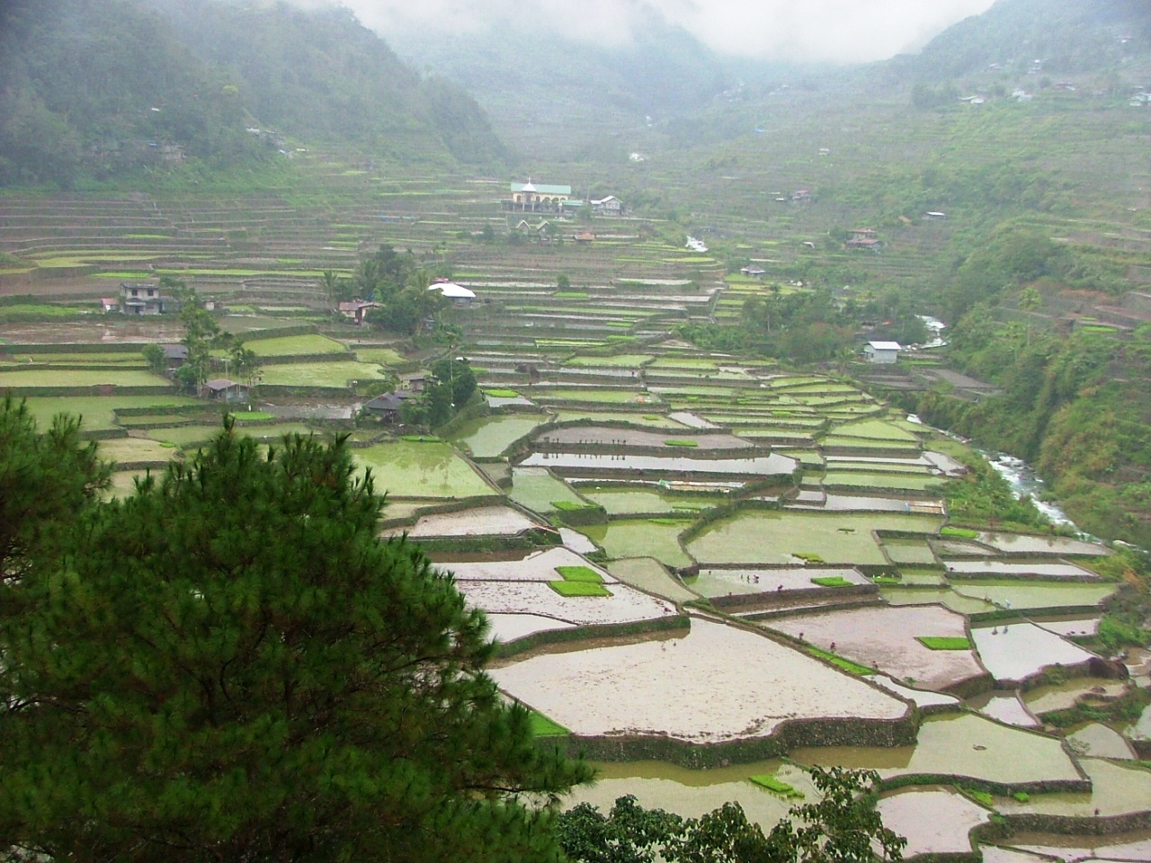 Hapao Rice Terraces