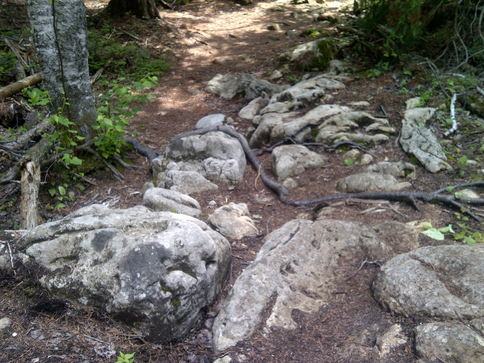 When Do I Become Competent Again?: Scenes from Bruce Trail Burnt Point ...