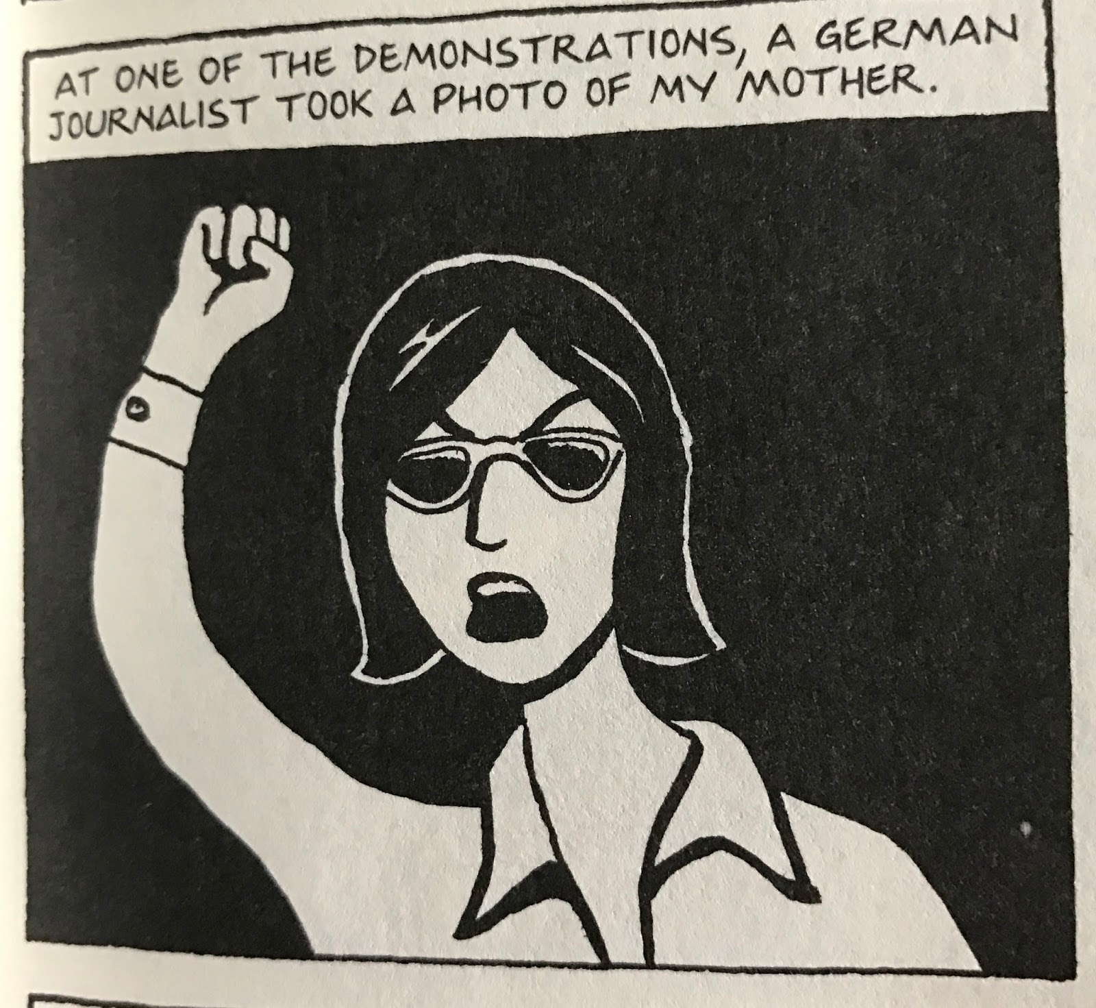 The Shaping of Marji's identity