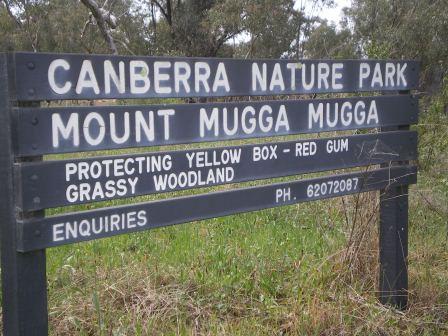 Nettie's Knits: An occasional walk - Mount Mugga Mugga