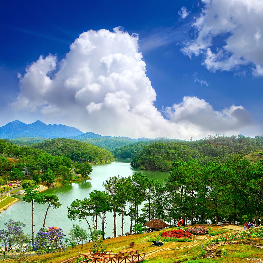 Dalat – The City of Love and Flower | Vietnam Information - Discover ...
