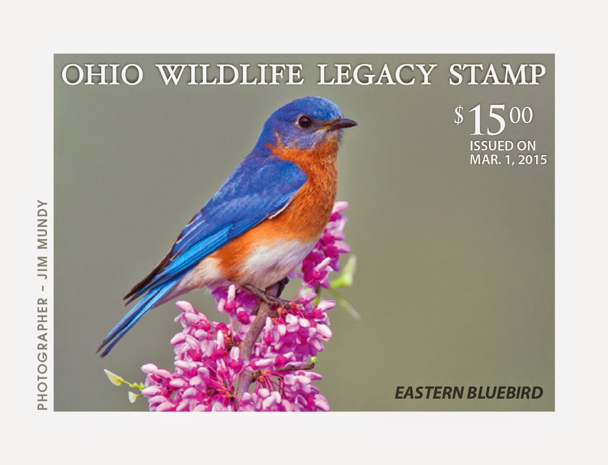 Columbus Peregrine Falcon Update: Donations Part 2, Falcon ID