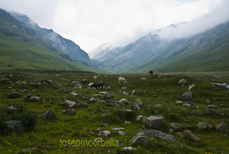 Fent camí: Camí dels enginyers: de Núria a Coma de Vaca