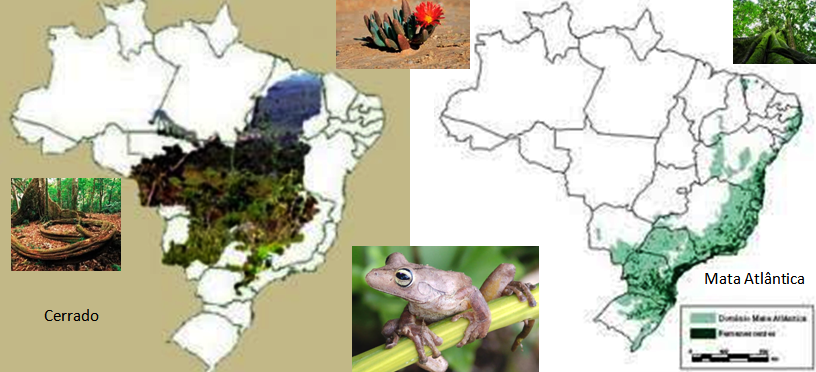GEOGRAFIA: Hotspots-Brasil-Cerrado e Mata Atlântica