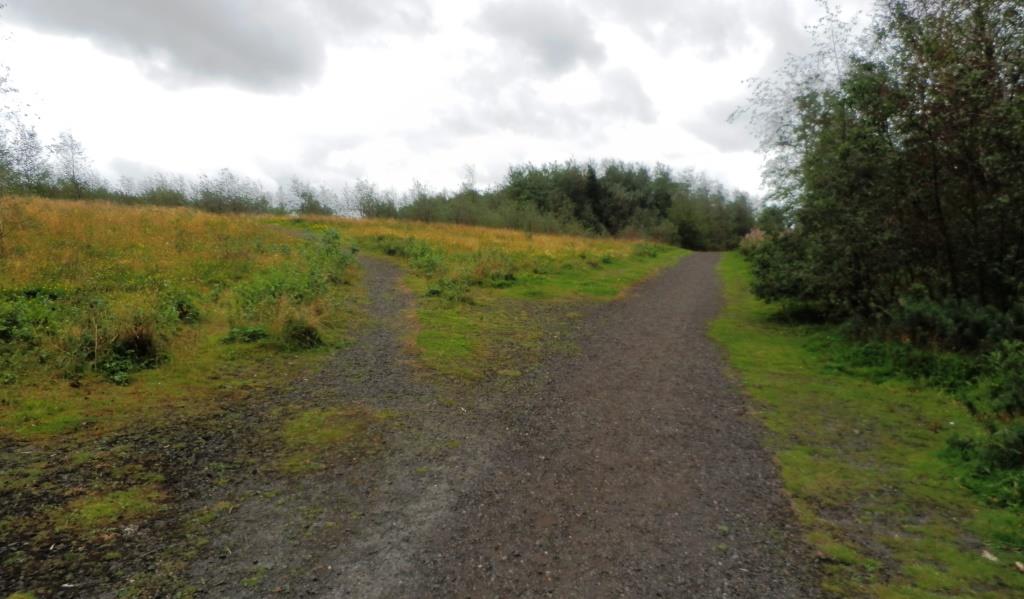 My Daily Walk: Fallin Bing