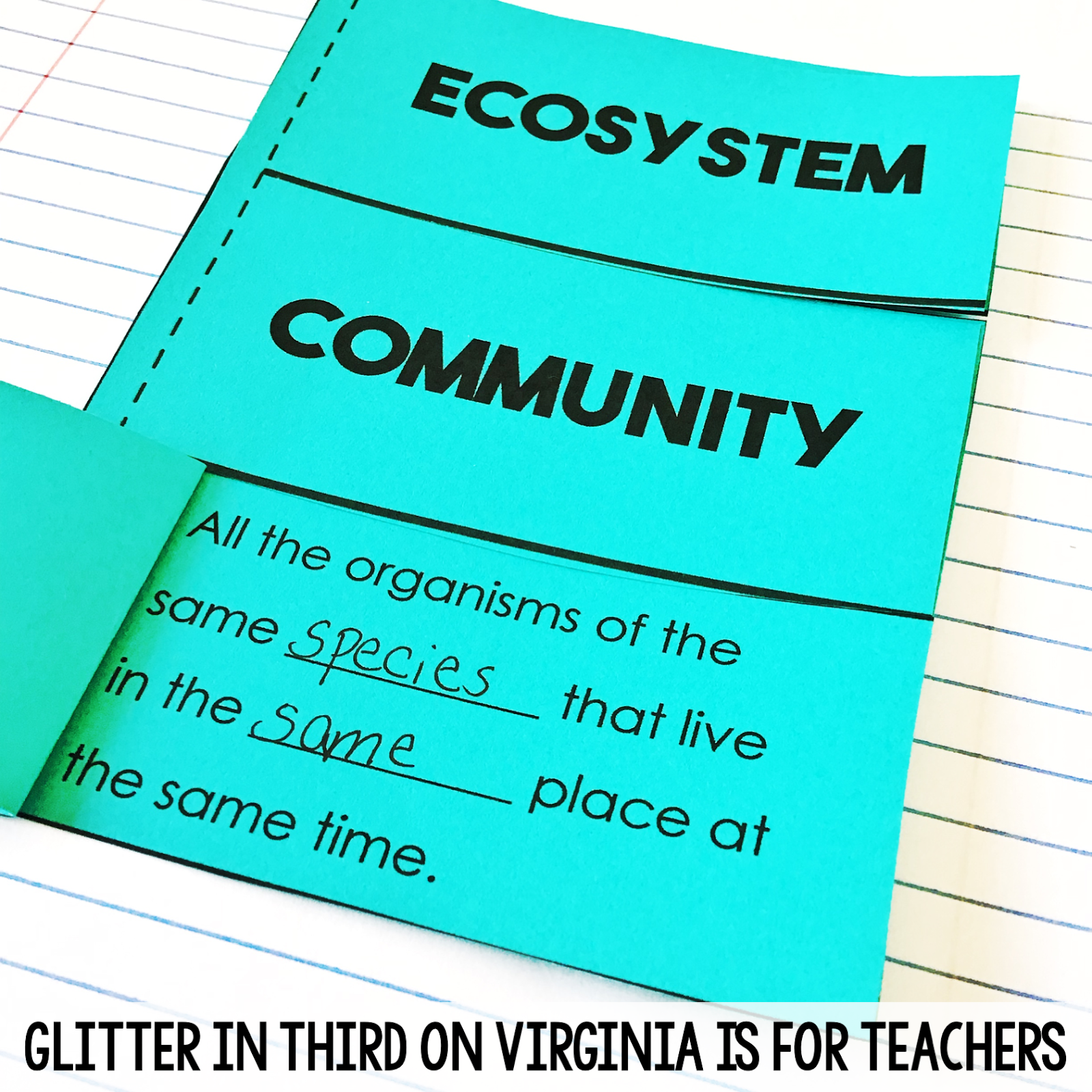 How To Prepare For The 2018 Science SOLs Virginia Is For Teachers how-to-prepare-for-the-2018-science-sols-virginia-is-for-teachers