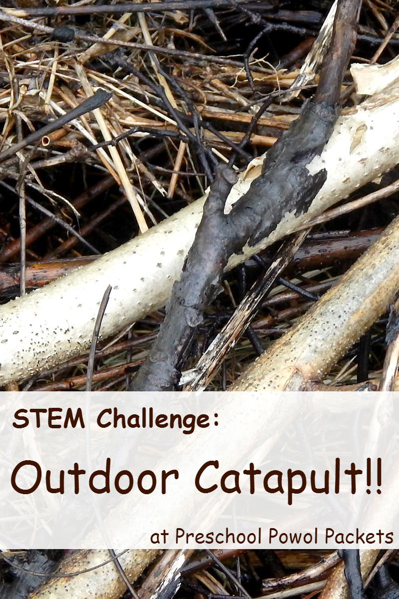 STEM Challenge: Build a Catapult with Outdoor Materials Science ...