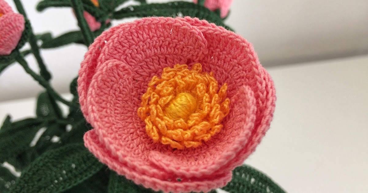 Crochet Peony Pattern Free Peony, My Favorite Flower! - Passionate ...