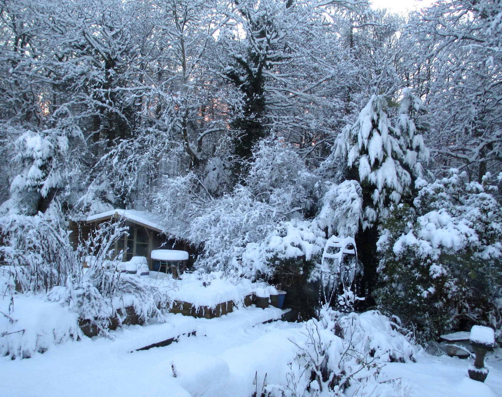 Flutterby Patch: January 2013