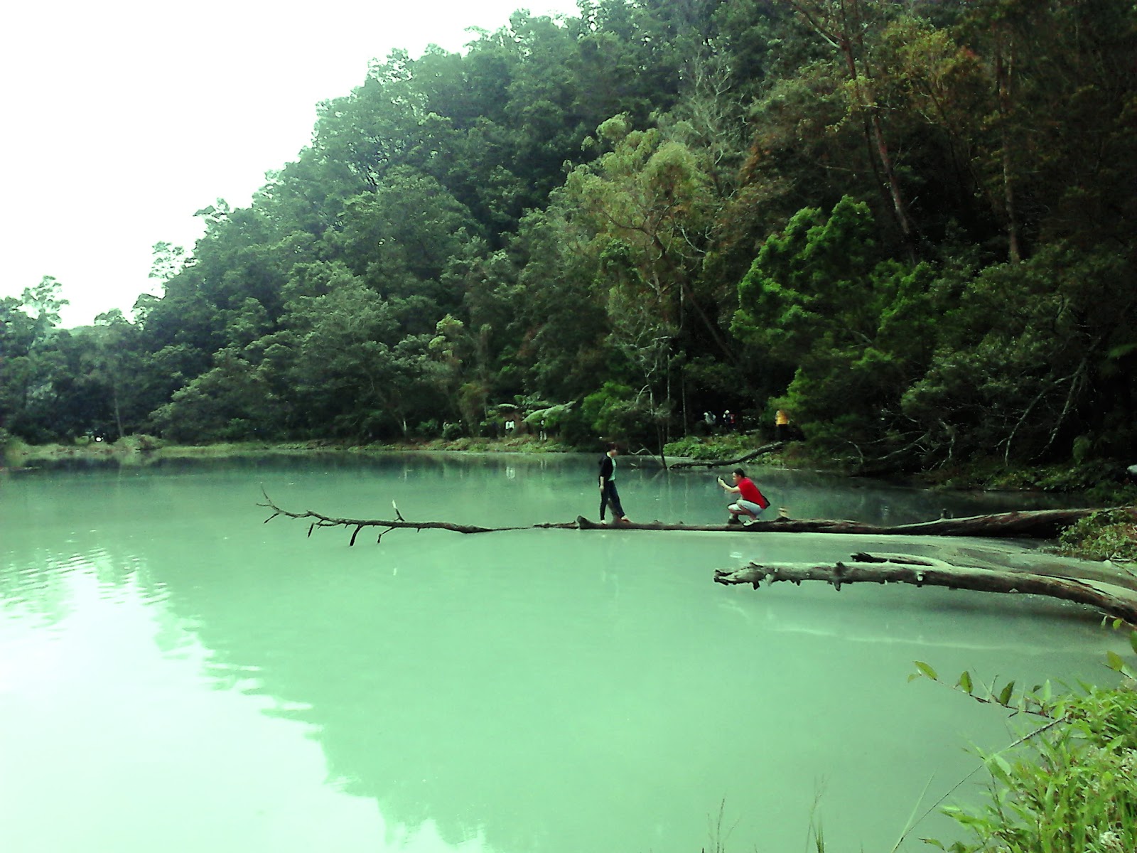 Telaga Warna is the Most Beautiful Place to Discover the Wonders of ...