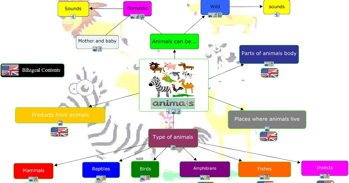 English Blog: A conceptual map about animals.