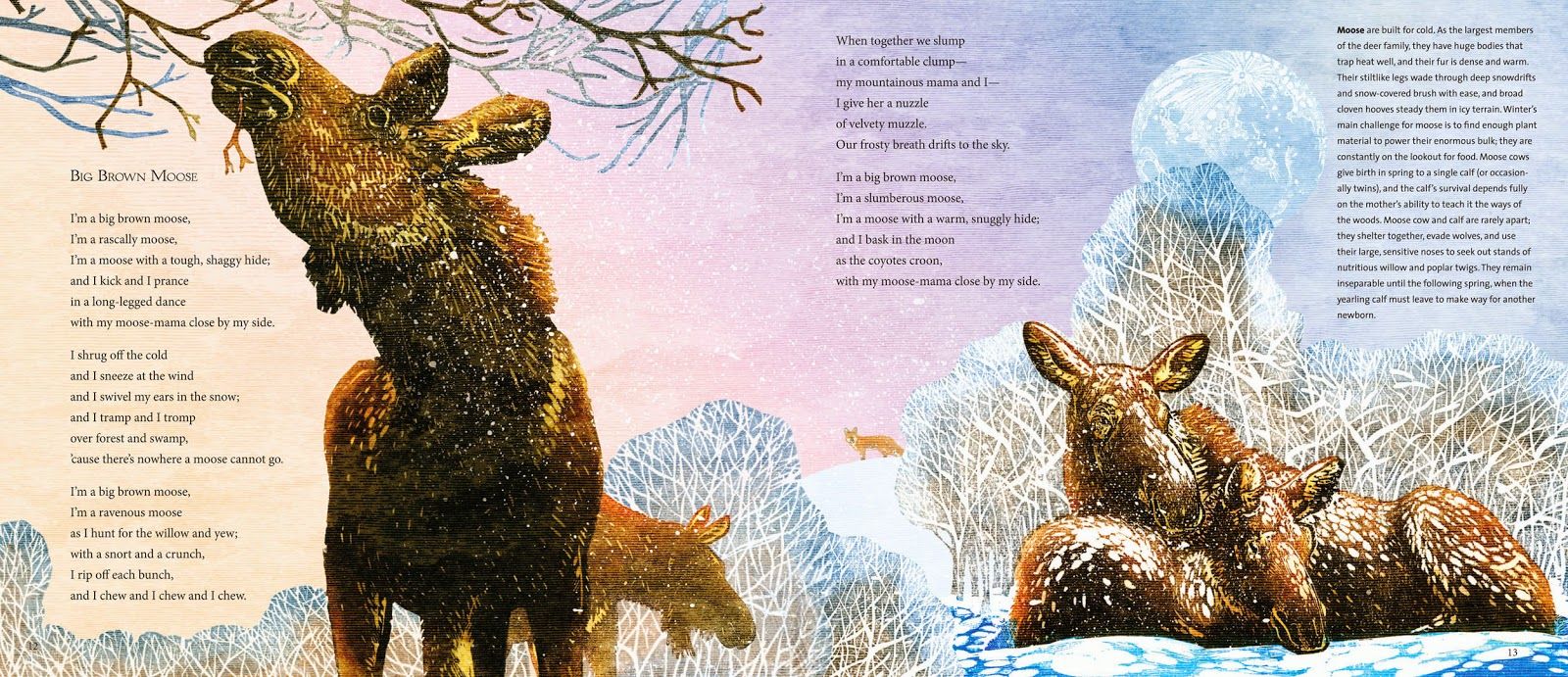 Momo celebrating time to read: Winter Bees and other poems of the cold ...