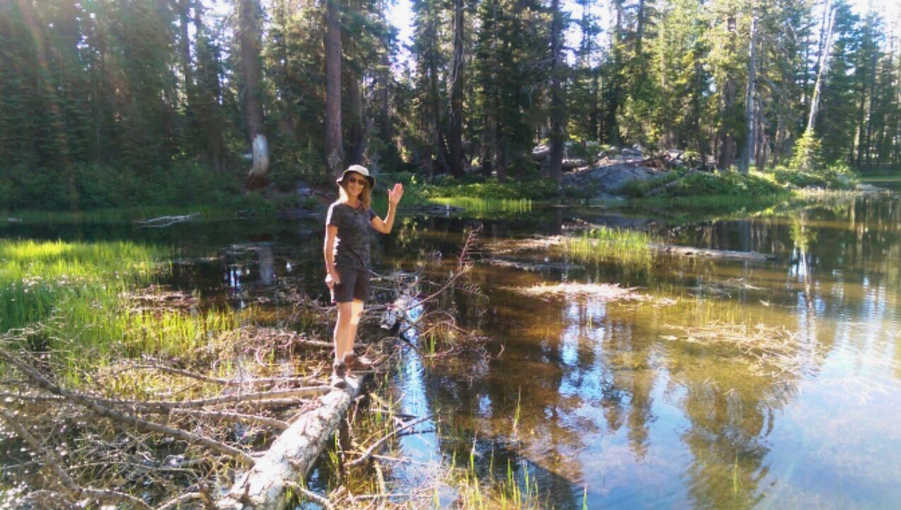 Peachy Hiker: August 2018 update Grouse Ridge Lookout ~ and Trail Head