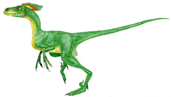 Los animales en la prehistoria: Animales prehistóricos con la letra B