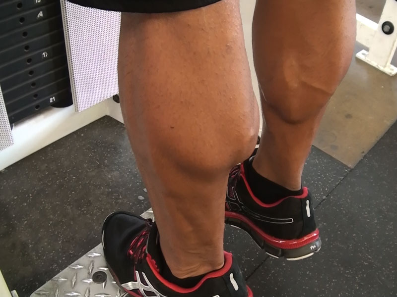 HanhChampion Blogspot: Basic Leg Exercises