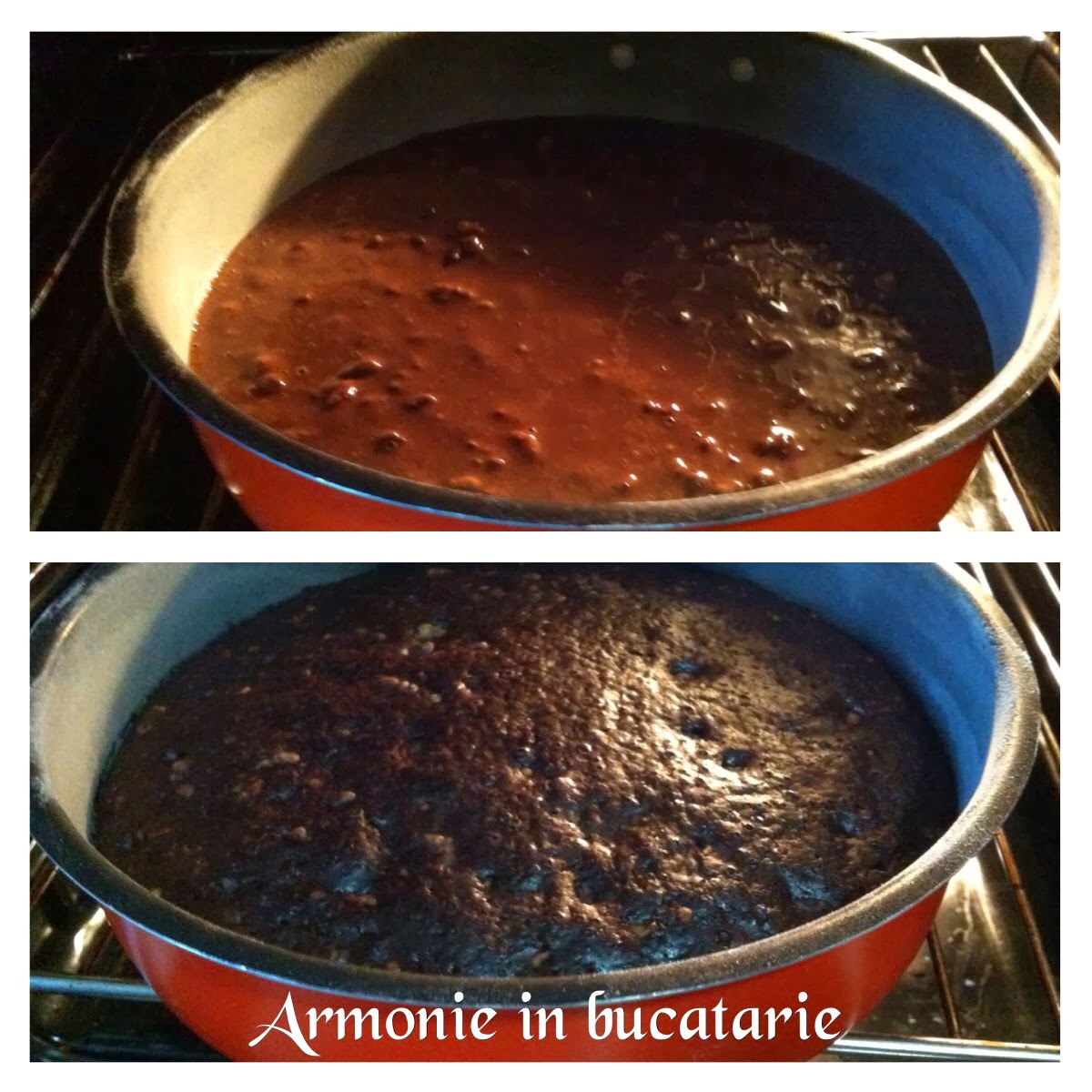 ARMONIE IN BUCATARIE: Prajitura de post cu nuca si cacao