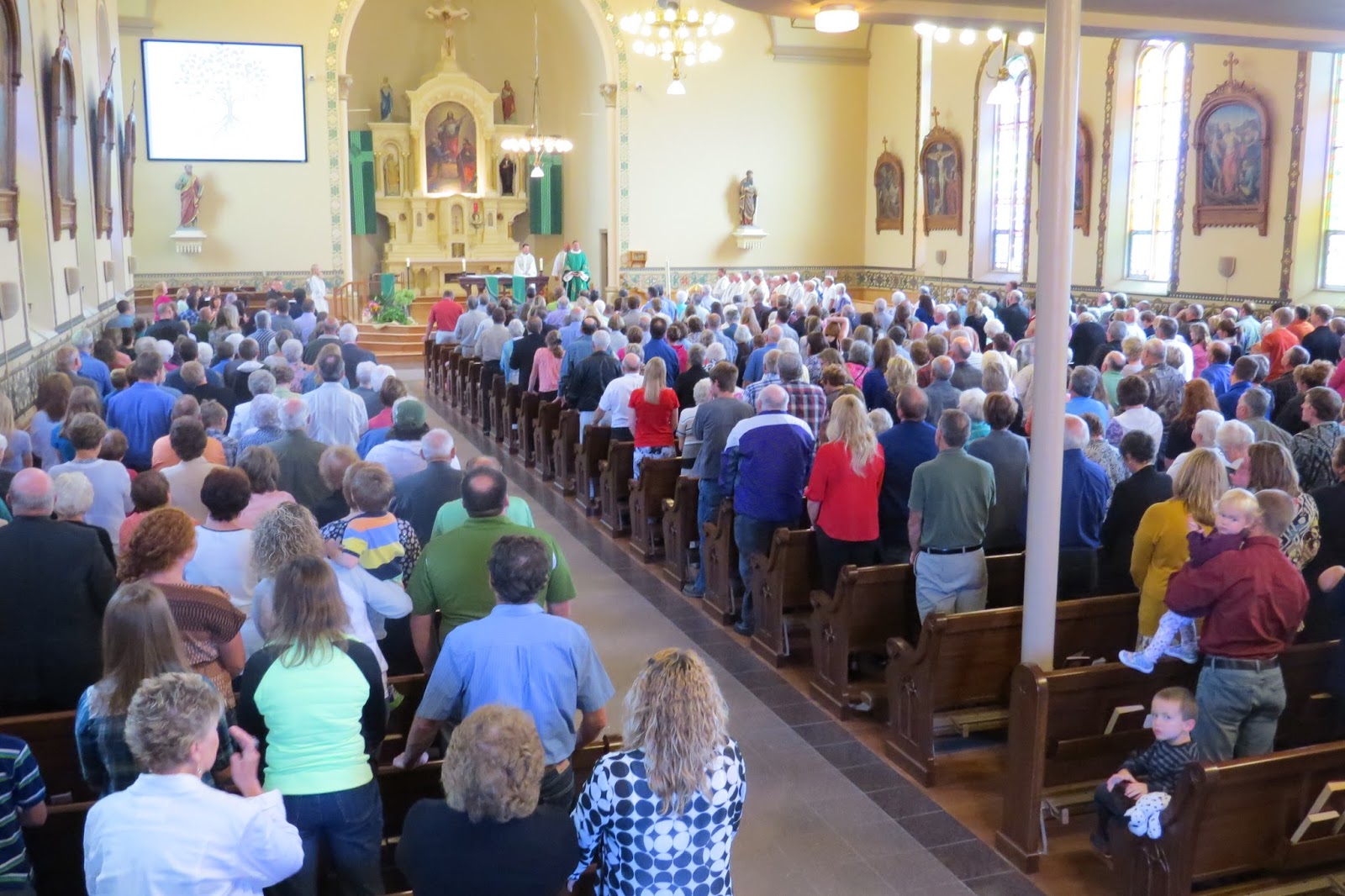 Stang Family of Five: Congratulations Father Mark Stang!