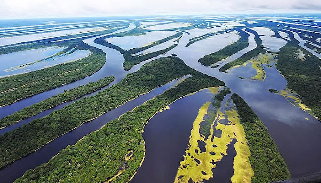 INTERNATIONAL ORGANIZATION OF ANIMAL: Reportagem especial sobre a ...