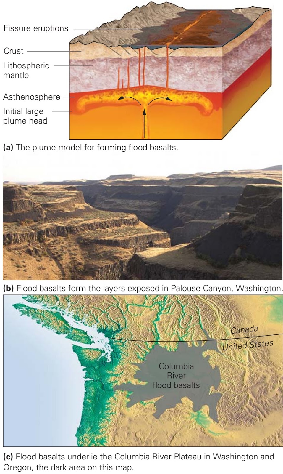 Plate tectonics activity - genie.minier.minig