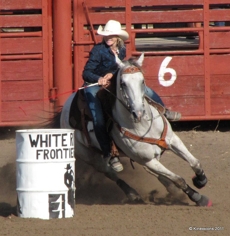 kinexxions: Roe-Dee-Oh :: Mutton Busting and Barrell Racing