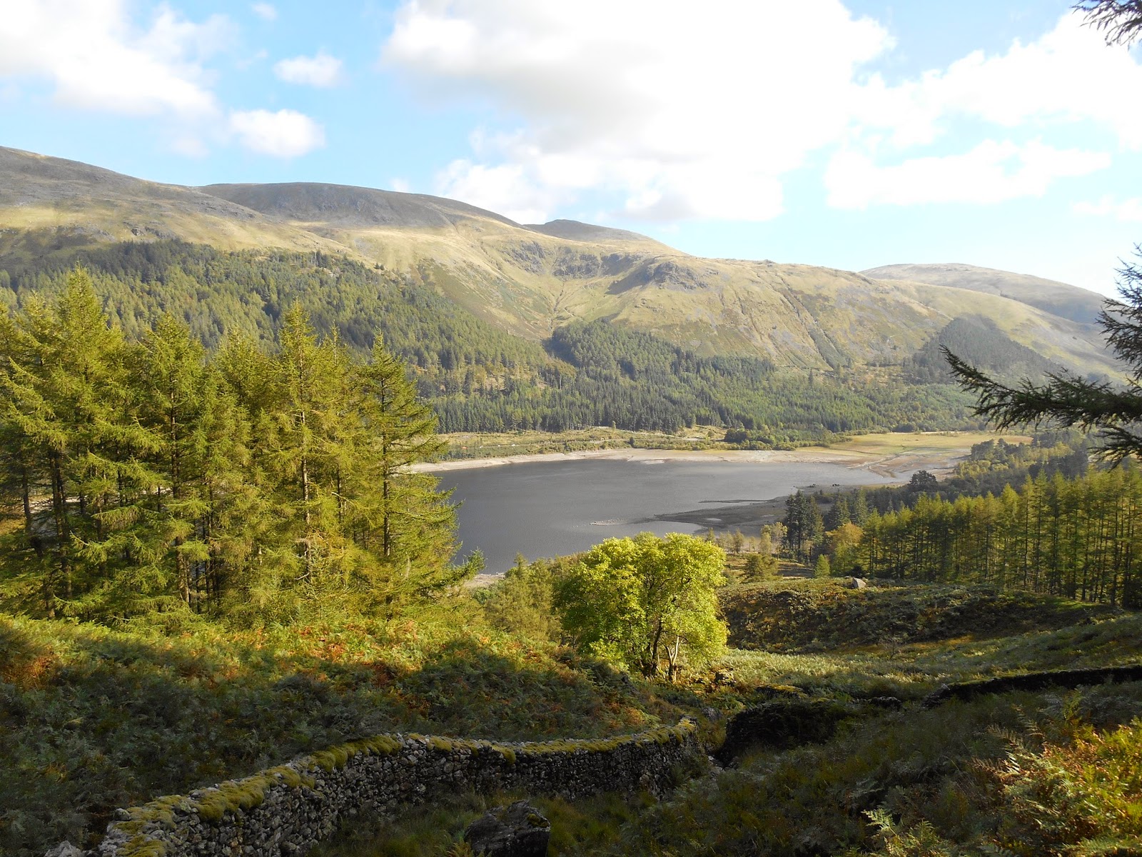 Nature Notes and Observations: Harrop Tarn and Thirlmere
