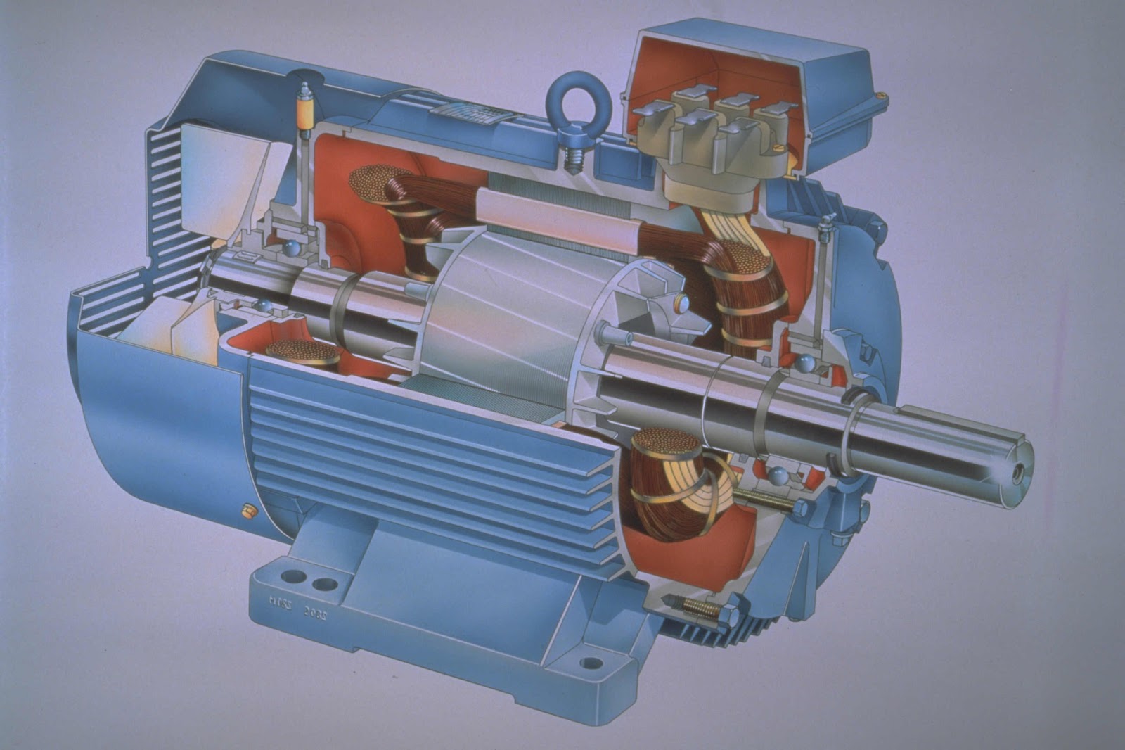 ELECTRICAL SOCIETY...........: INDUCTION MOTOR