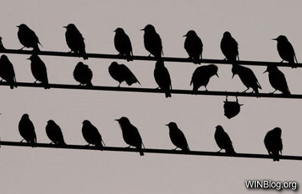 19thcenturylit: Non-Conformity Today