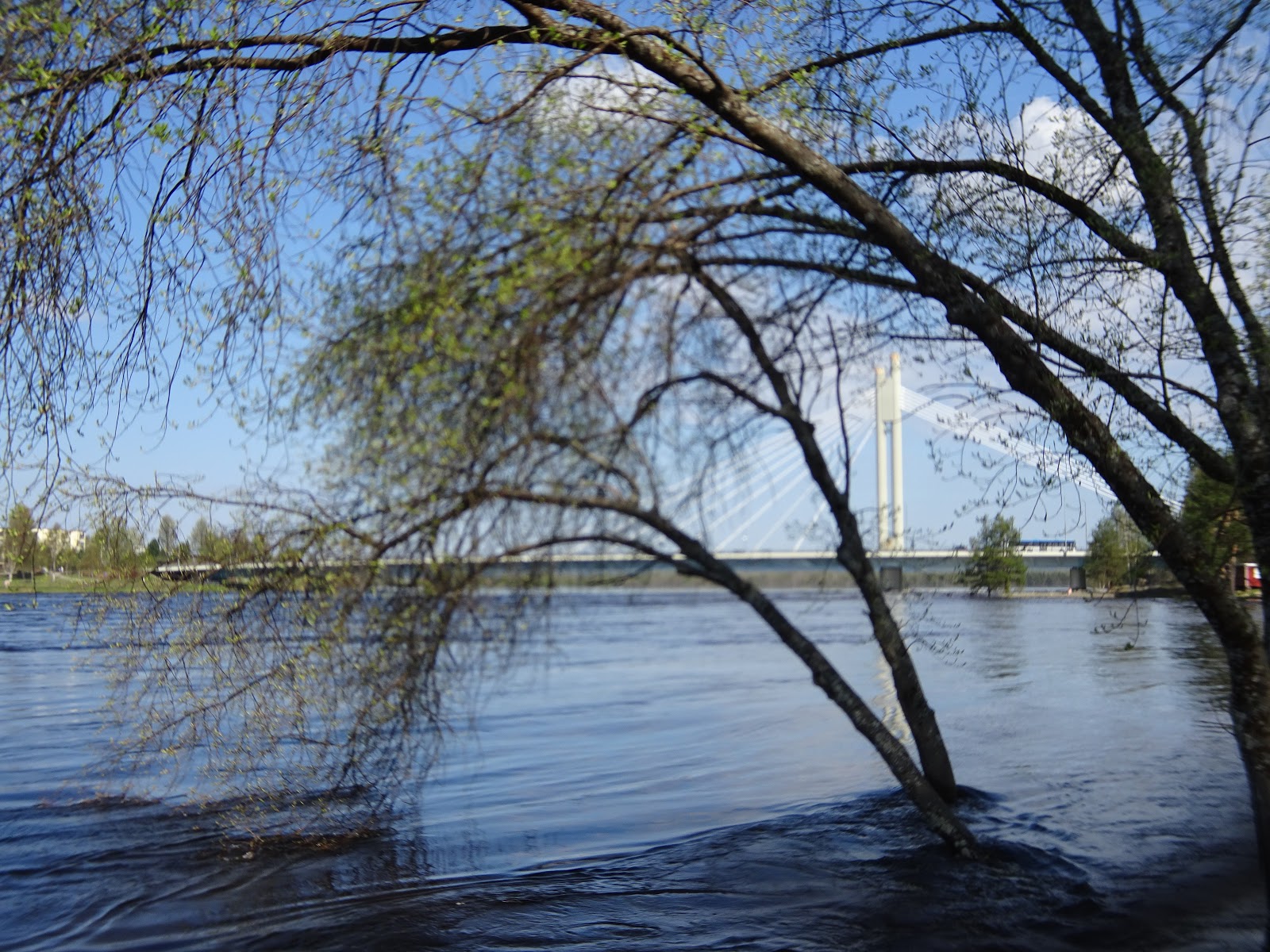 Juhani Vallin reviiri: Tulvakuvia - Rovaniemi