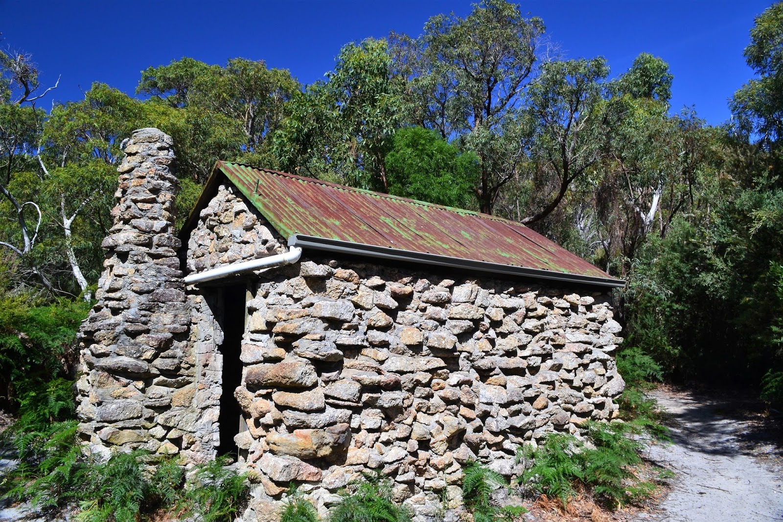 Goin' Feral One Day At A Time: Tidal River to Roaring Meg, Southern ...