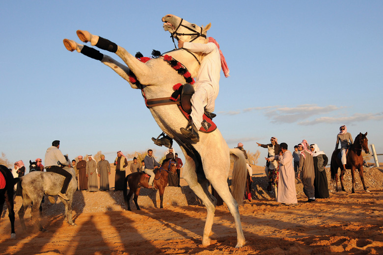 Rajasthan Tour Planner: Pushkar Fair - The Legacy of Rajasthan Culture