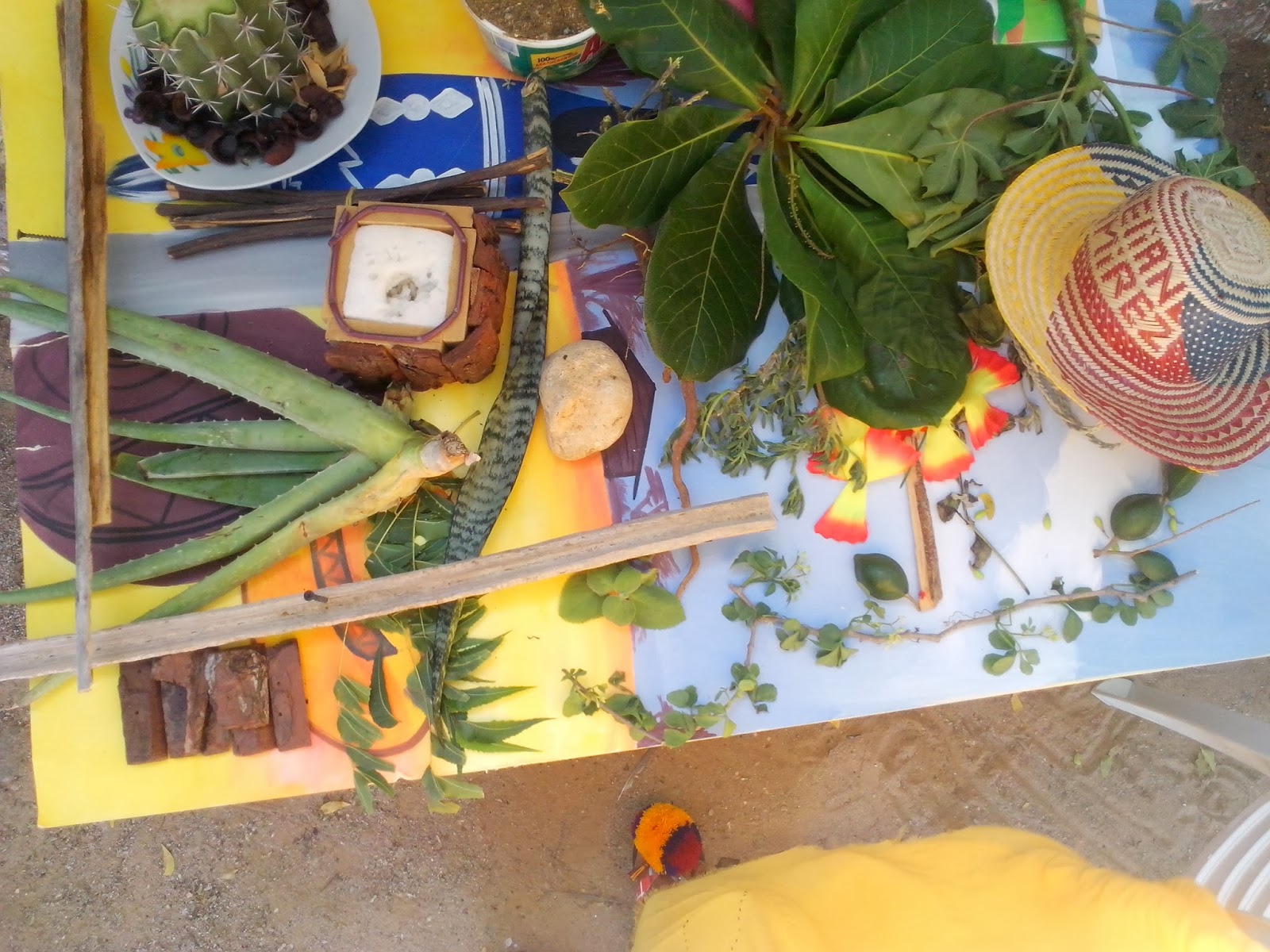 MEDICINA TRADICIONAL WAYUU