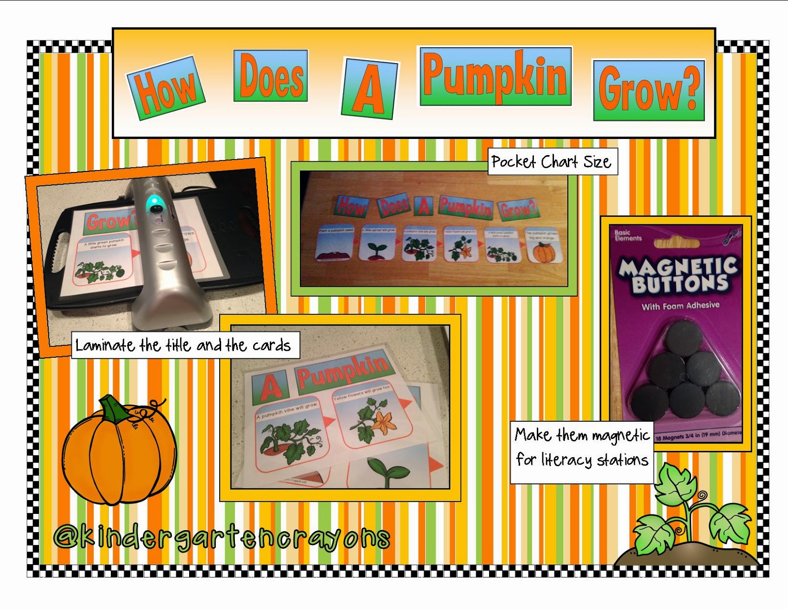 Kindergarten Crayons: From Seed to Pumpkin ( A Common Core Retell)