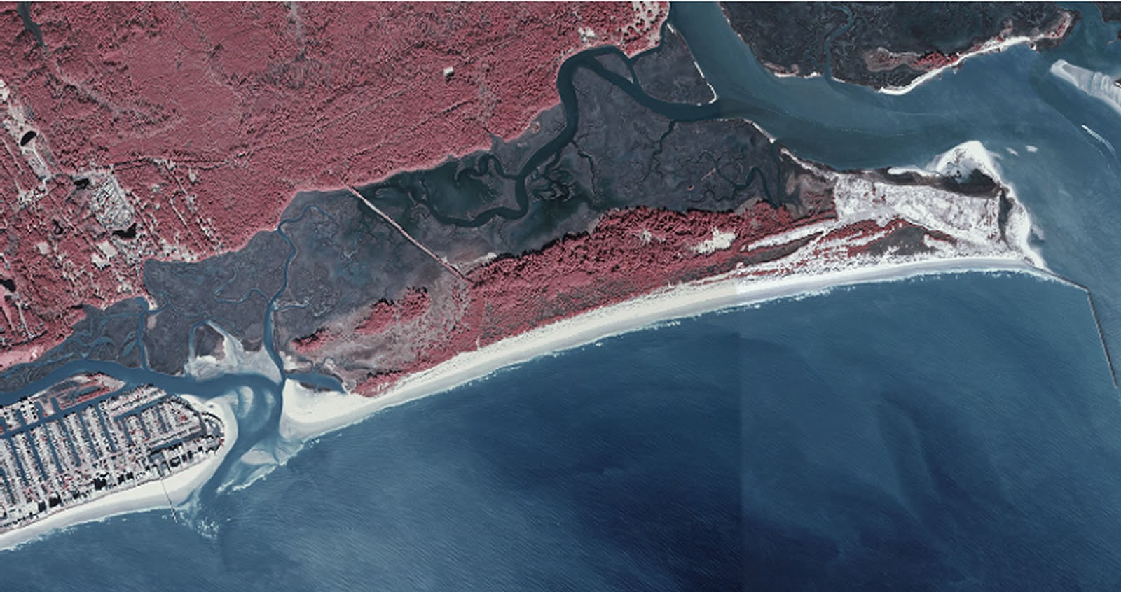 The Hunter and The Gatherer: Waties Island