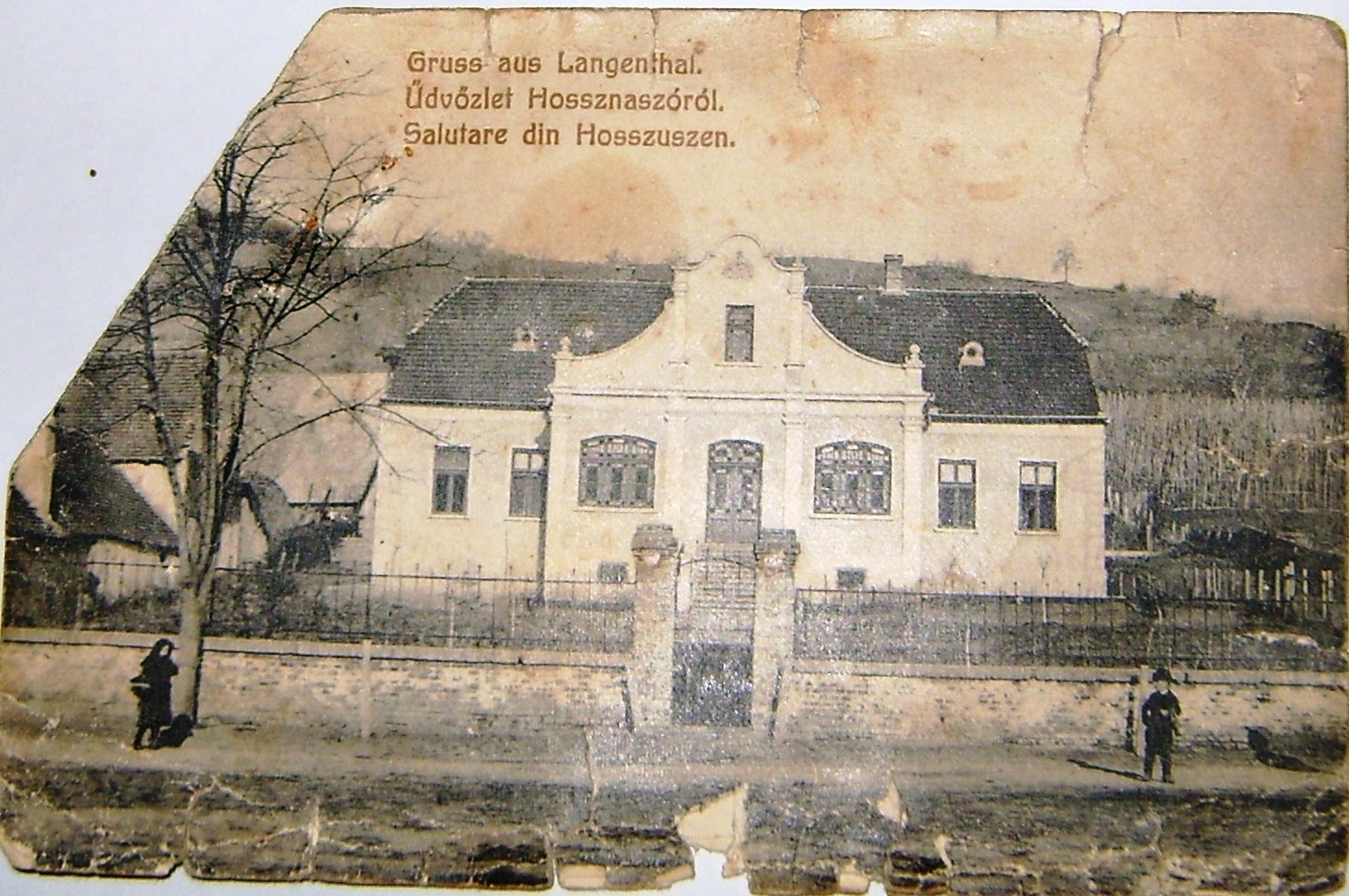 Ştiinţă pentru toţi: Valea Lungă (jud. Alba) în imagini din prima ...