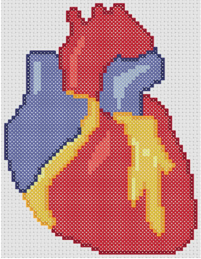 Anne's Handspun: Anatomical Heart Free Cross Stitch Pattern